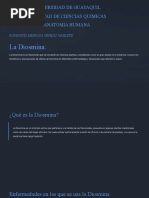 Flevomax 500mg Prospecto | PDF | Amamantamiento | El embarazo