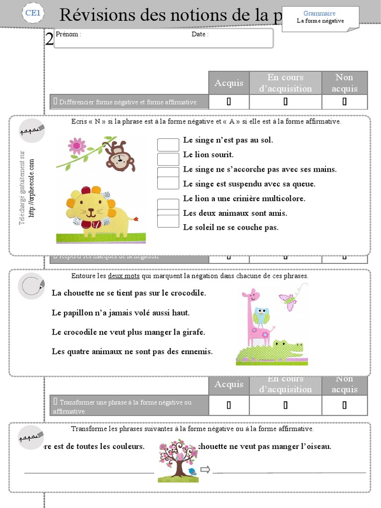 Évaluation de la forme négative CM2 | PDF