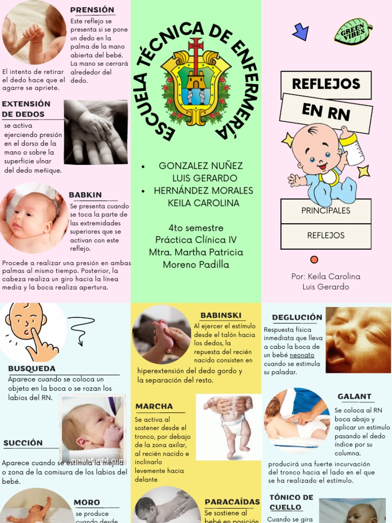 Reflejos 1 | PDF | Mano | Anatomía humana