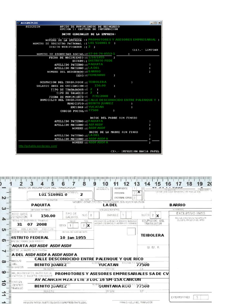 Documento de Texto Codificado | PDF
