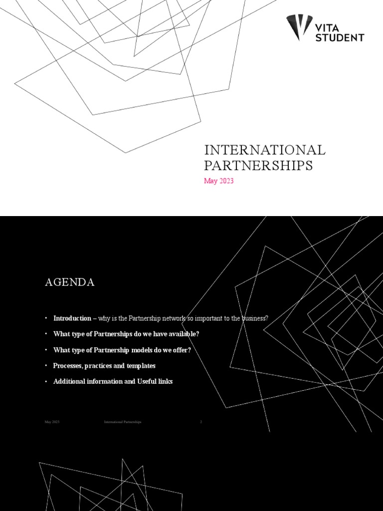 International Partnership Models Overview | PDF | Partnership | Business