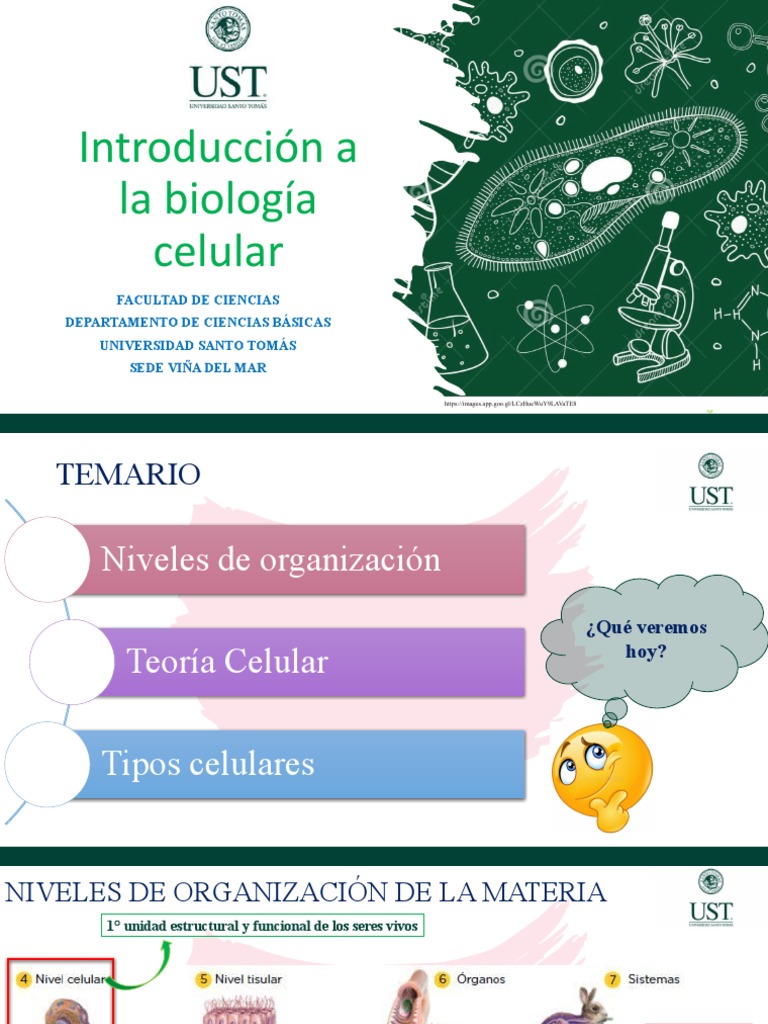 01 Introducción A La Biología Celular Parte II | PDF | Eucariotas | Biología Celular)