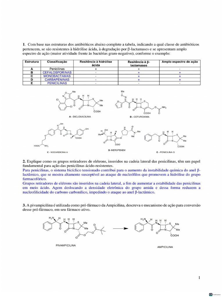 Atividade Bianca Ferraz Prof Gabriel | PDF