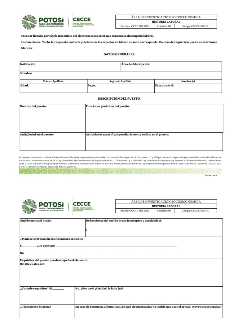 Formato Historia Laboral | PDF