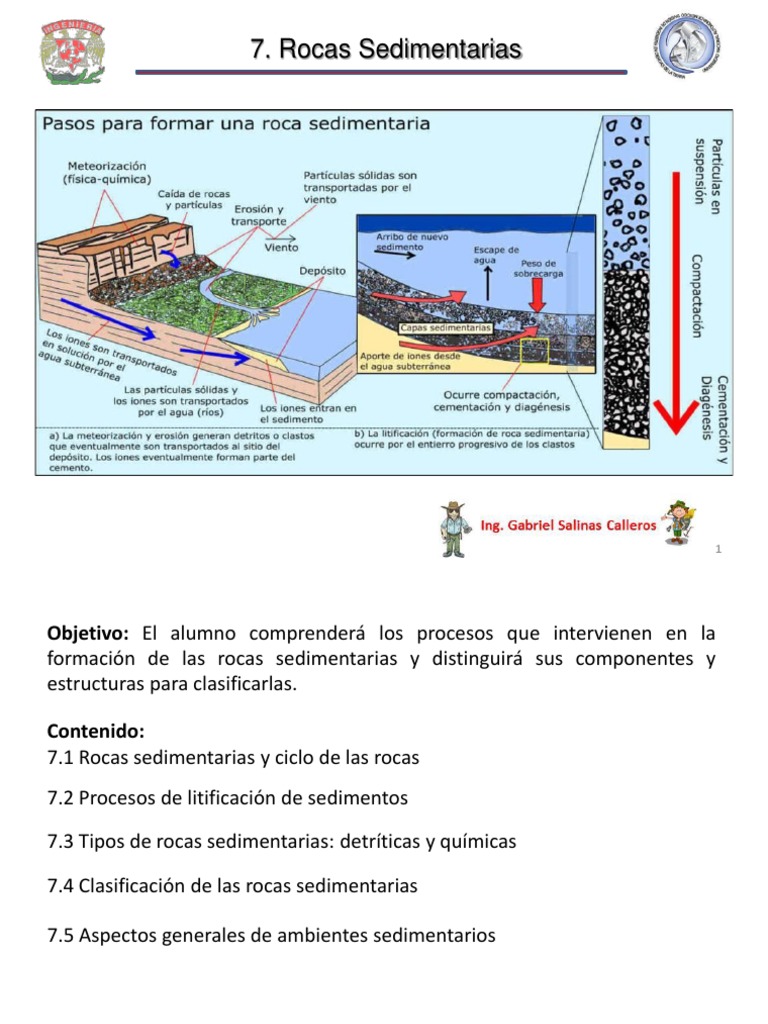 Rocas Sedimentarias: Guía Educativa | PDF | Roca clástica | Roca (geología)