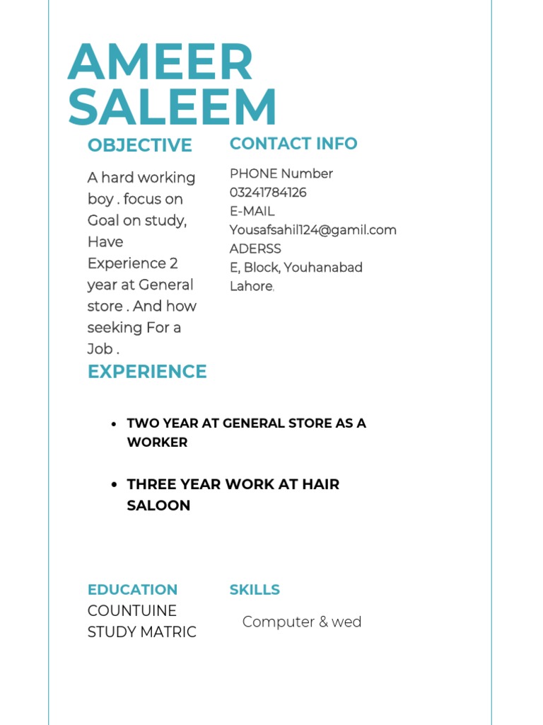 Ameer CV | PDF