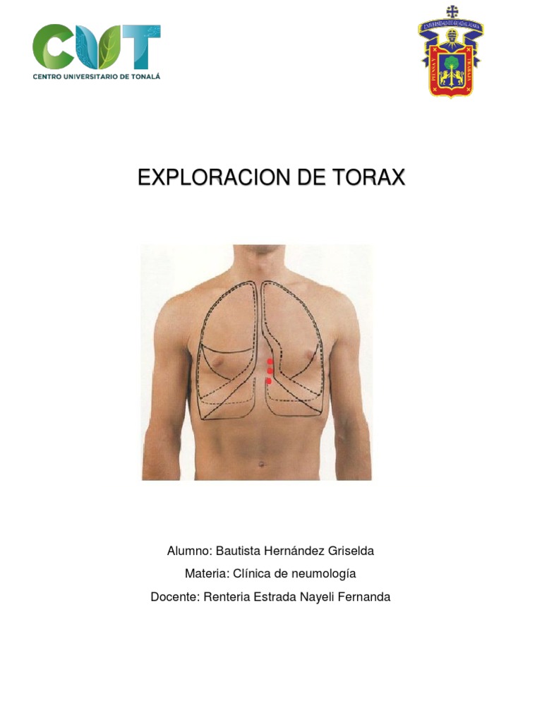 Exploracion de Torax | PDF | Medicina | Medicina CLINICA