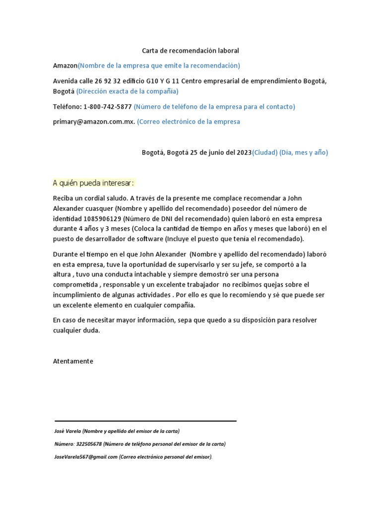 Carta de Recomendación Profesional | PDF