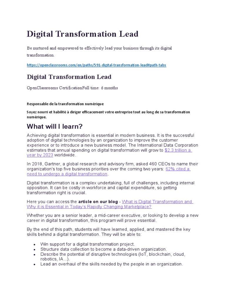 Digital Transformation Leadership Program | PDF | Artificial ...