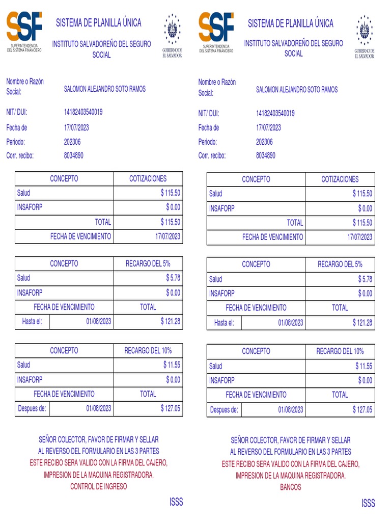 Famossas Planillaisss Recibo Jun 23 | PDF