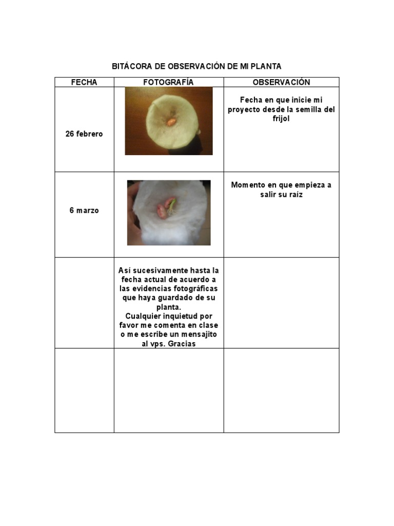 Bitácora de Observación de Mi Planta | PDF