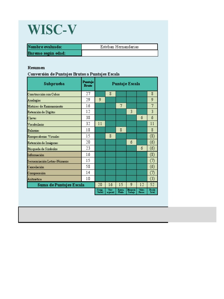 Software Wisc V Pro Pdf Inteligencia Evaluación 0905