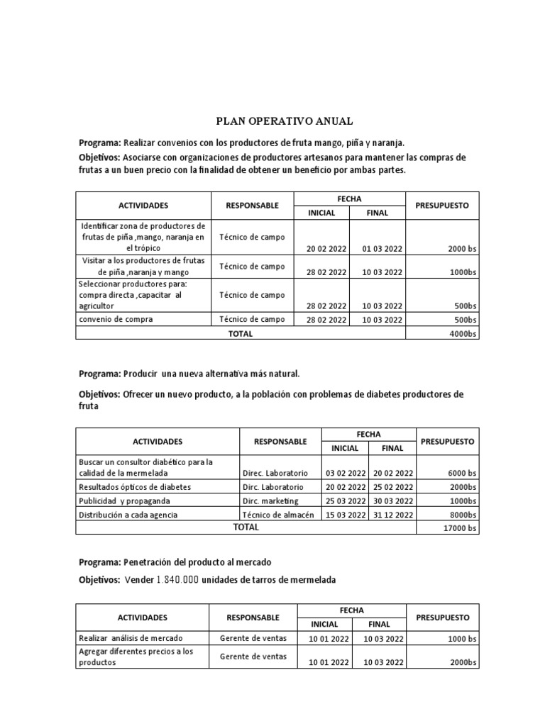Plan Operativo | PDF | Presupuesto | Business