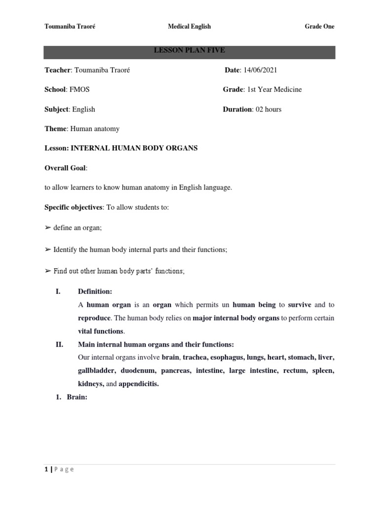 Lesson Five Internal Human Organs | PDF | Human Body | Abdomen