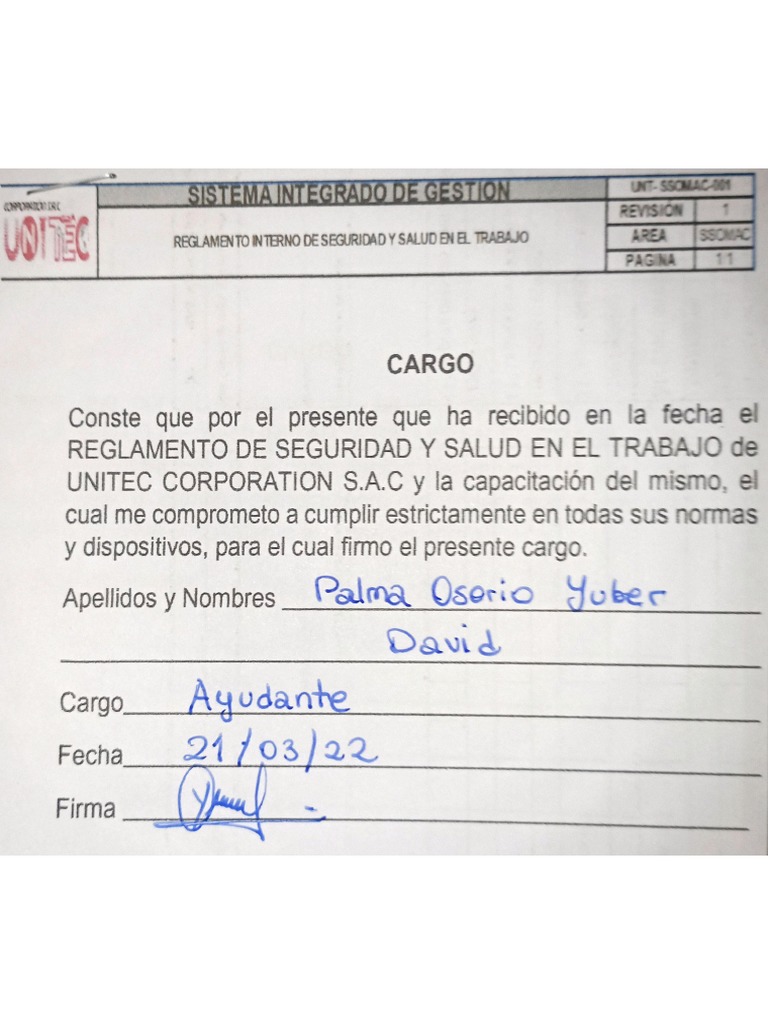 RISST Palma Osorio Yuber | PDF