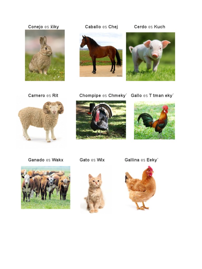 Nombres de animales en idioma mam | PDF