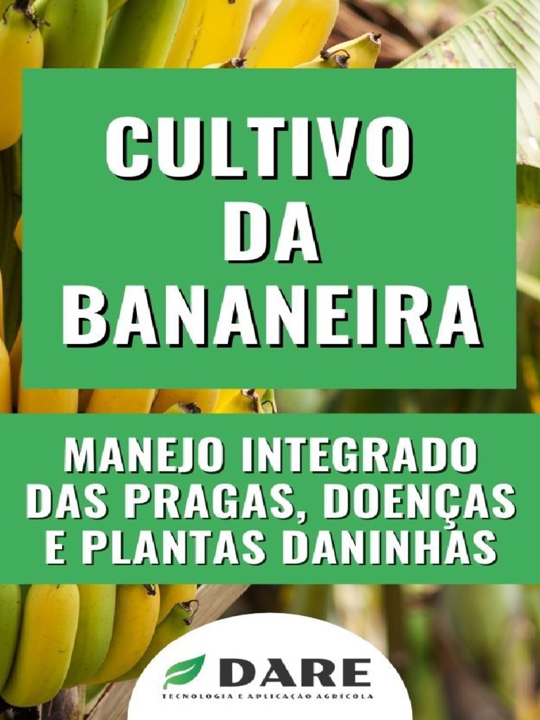 Cultivo Da Bananeira | PDF | Agricultura | Plantas