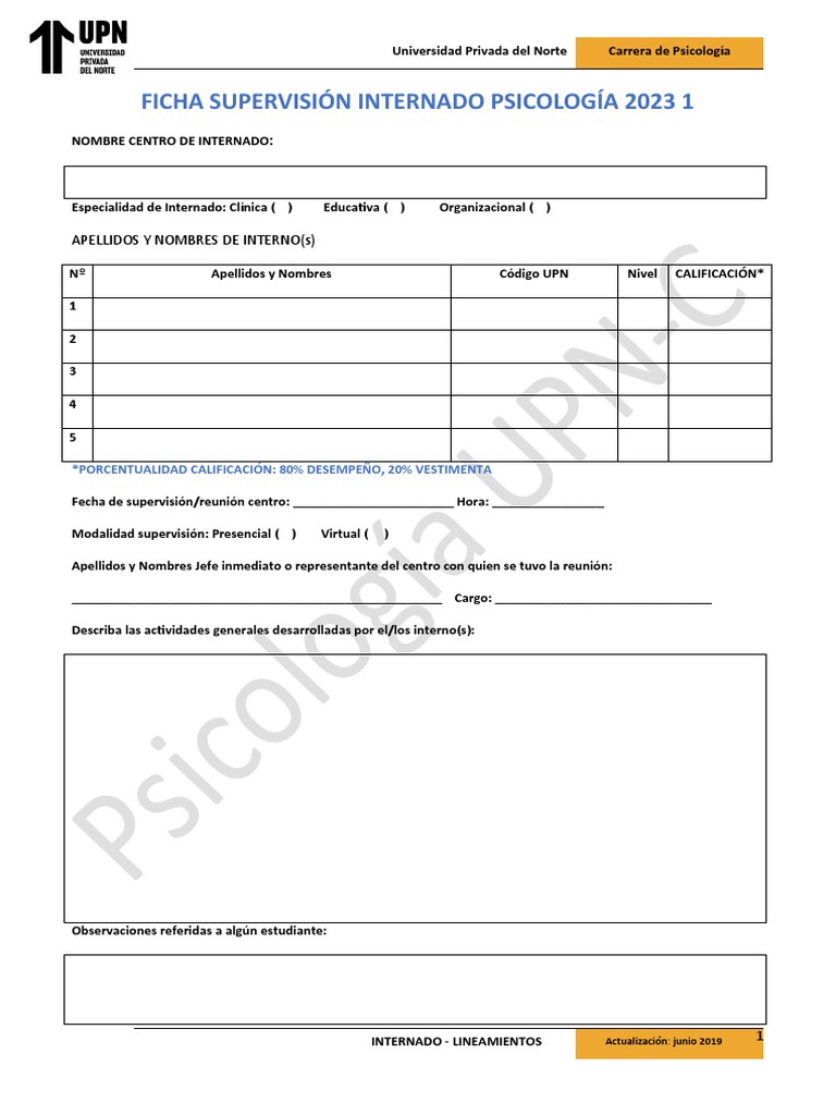 Ficha Supervisión Internado 2023 1 | PDF