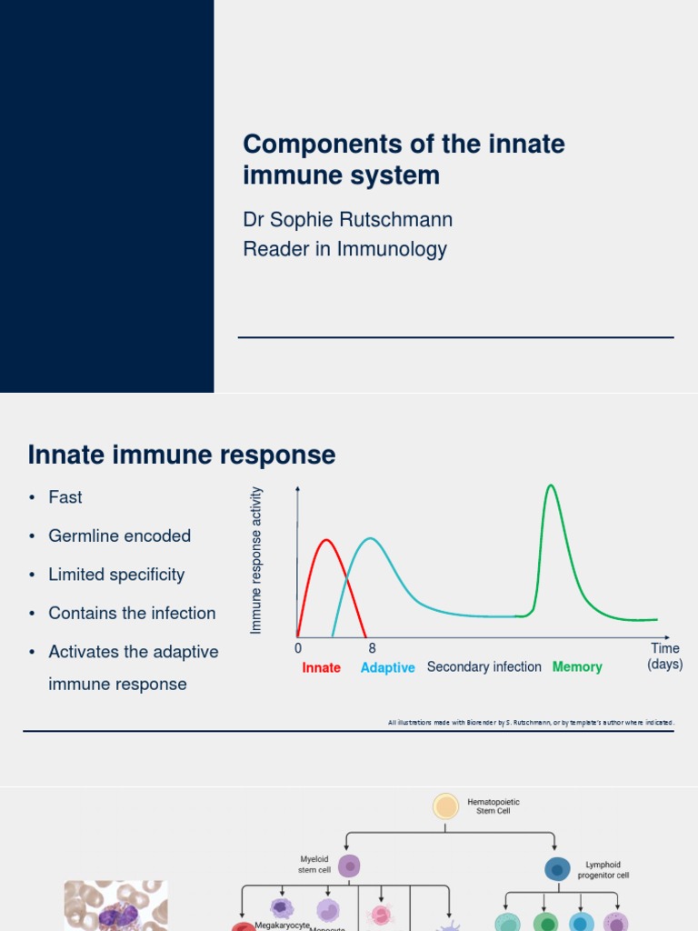 2. Components of the innate immune system | PDF