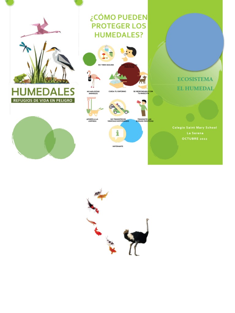 Ecosistema Humedal | PDF