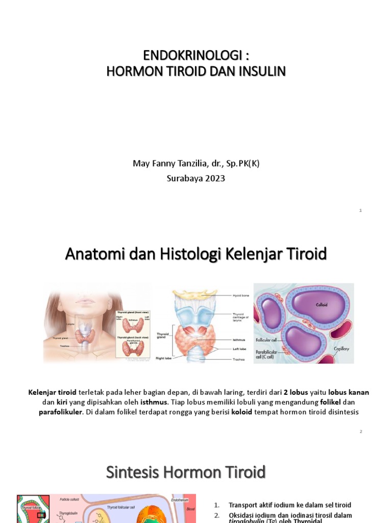 Endokrin Insulin Dan Tiroid | PDF | Kesehatan Holistik