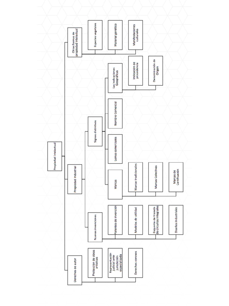 Esquema Propiedad Intelectual | PDF