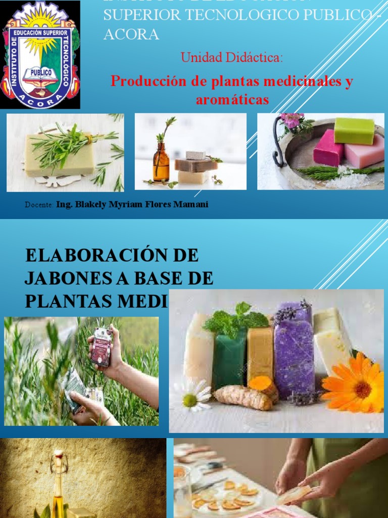 Elaboracion de Jabones y Pomadas | PDF | Jabón | Antioxidante