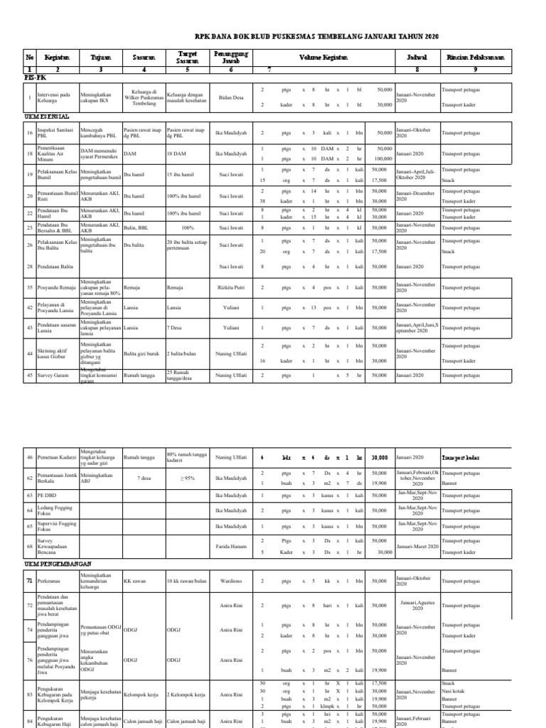 1116 RPK Bulanan | PDF