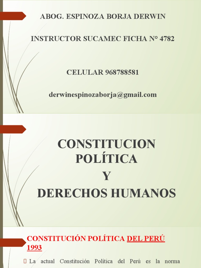 2 Constitucion Politica Y Derechos Humanos Pdf Ministerio