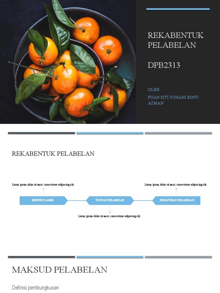 DPB 2313 Rekabentuk Pelabelan | PDF