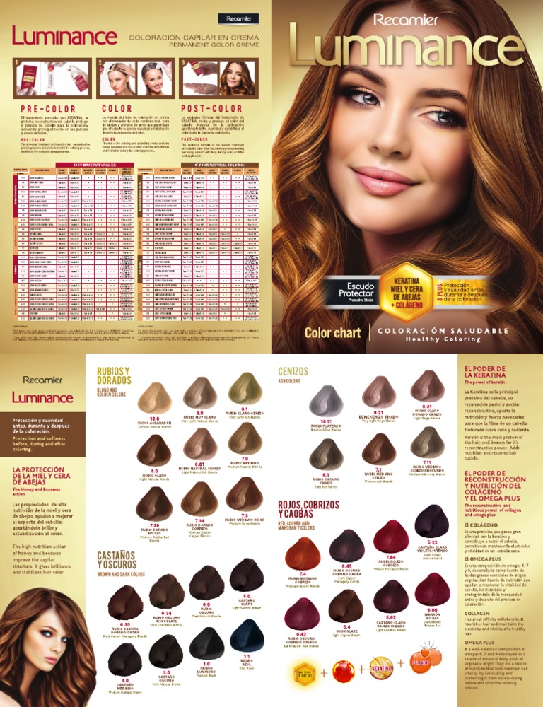 Luminance Carta Tonos 43x28 Curvas RRM 1 | PDF