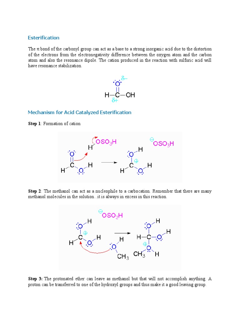 Esterification and Products | PDF | Chemistry | Organic Chemistry