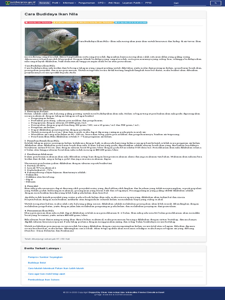 Cara Budidaya Ikan Nila | PDF