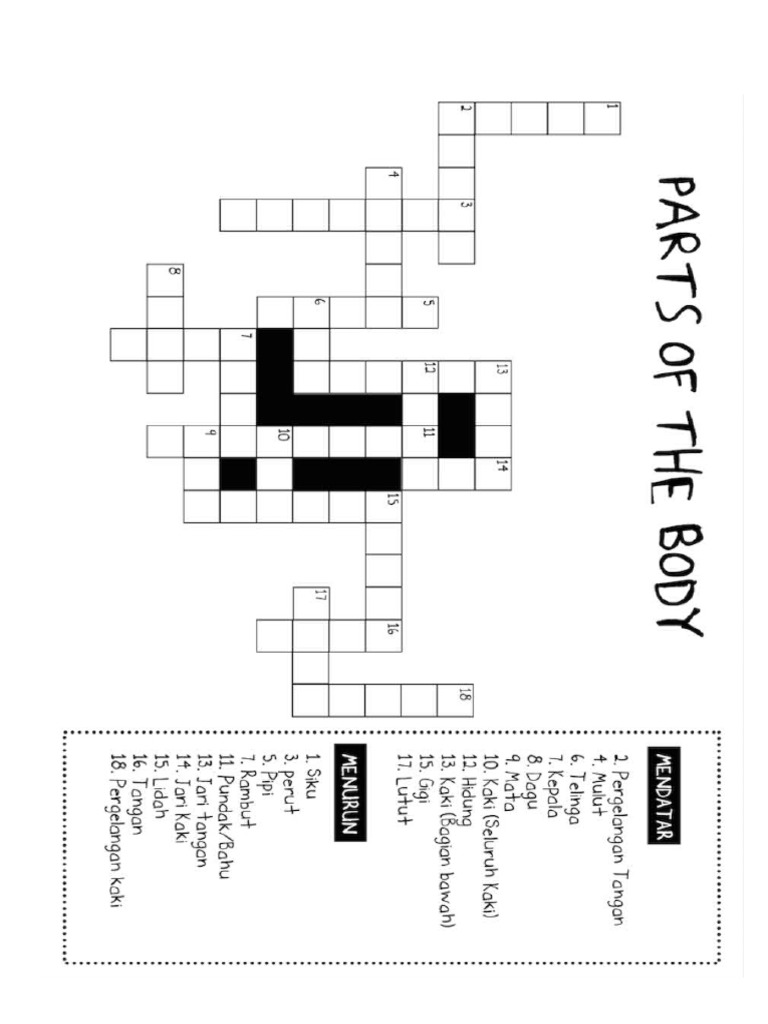 Tts Parts of Body.. | PDF