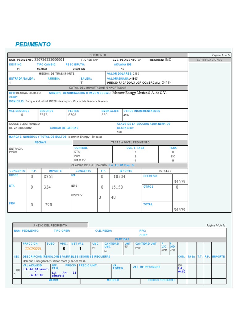 Formato de Pedimento | PDF