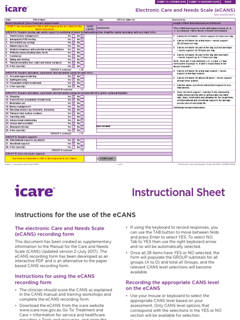 Electronic Care and Needs Scale eCANS | PDF | Software | Computing