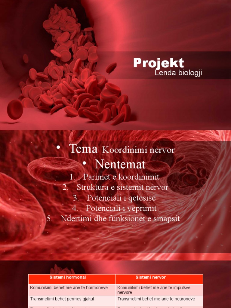 Heart Project | PDF