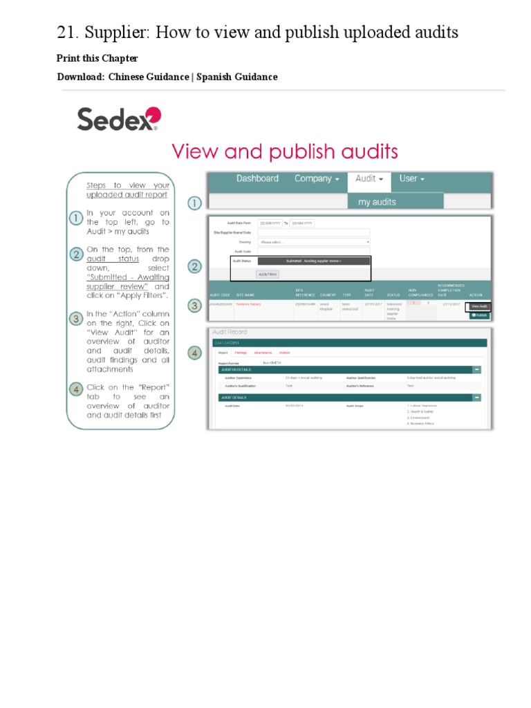 Sedex Advance Guidance - How To View and Publish Audit | PDF