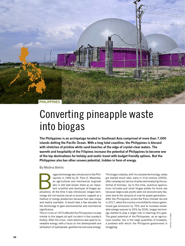 LIPP GMBH | PDF | Biogas | Anaerobic Digestion
