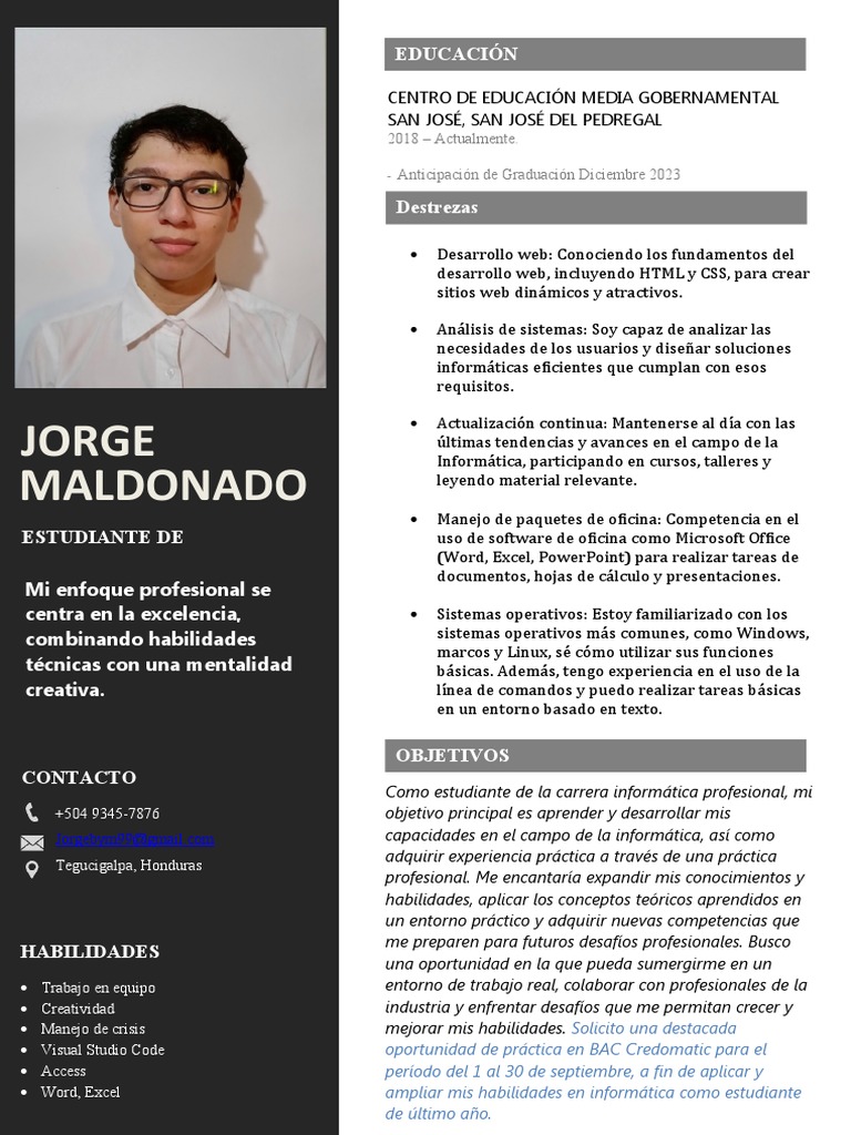Cv. Jorge Maldonado | Descargar gratis PDF | Microsoft Excel | Microsoft Word