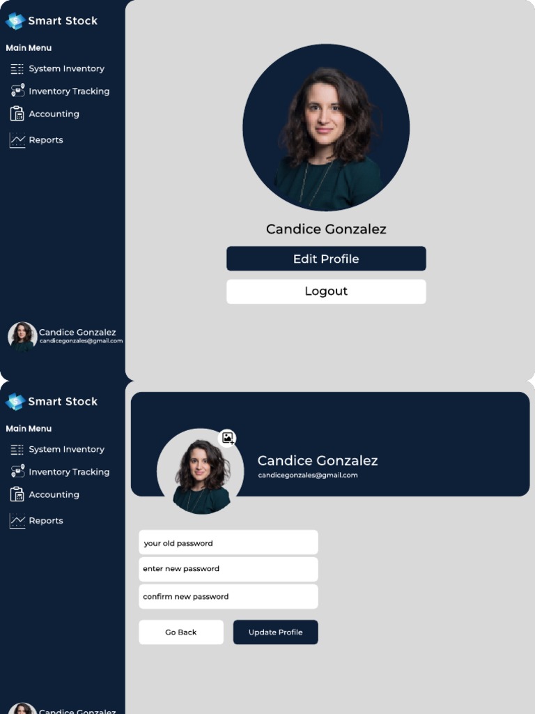 SANDBOX | PDF | Inventory | Financial Economics