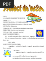 Exemple de Proiecte Didactice | PDF