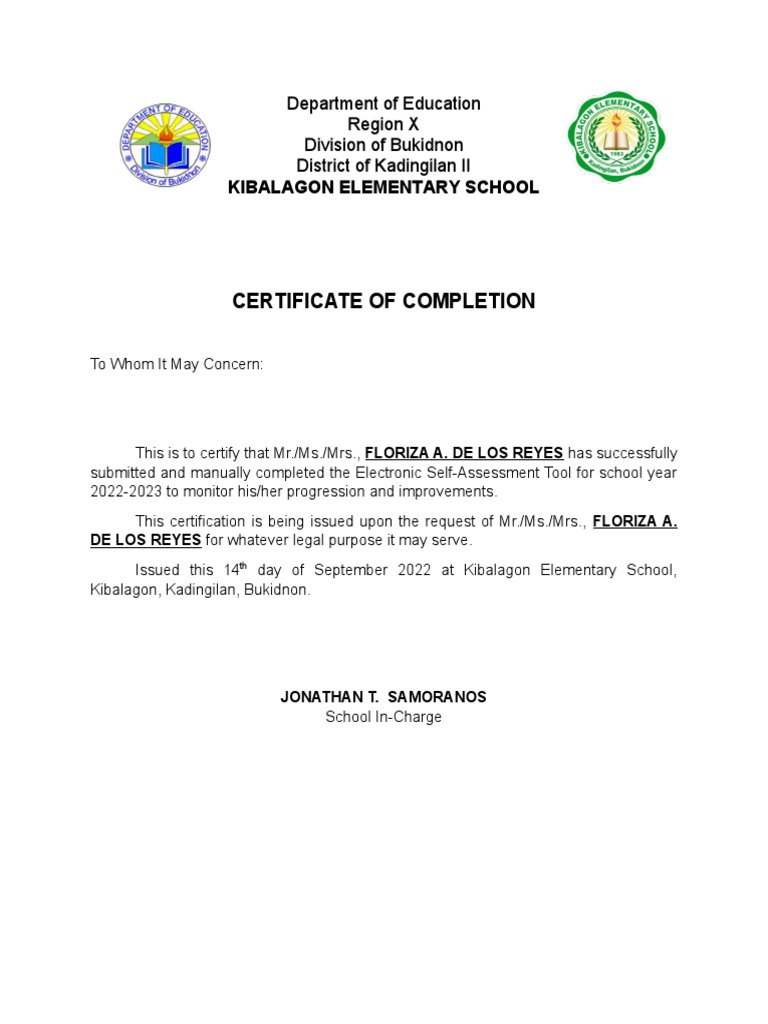 E-Sat Certification | PDF