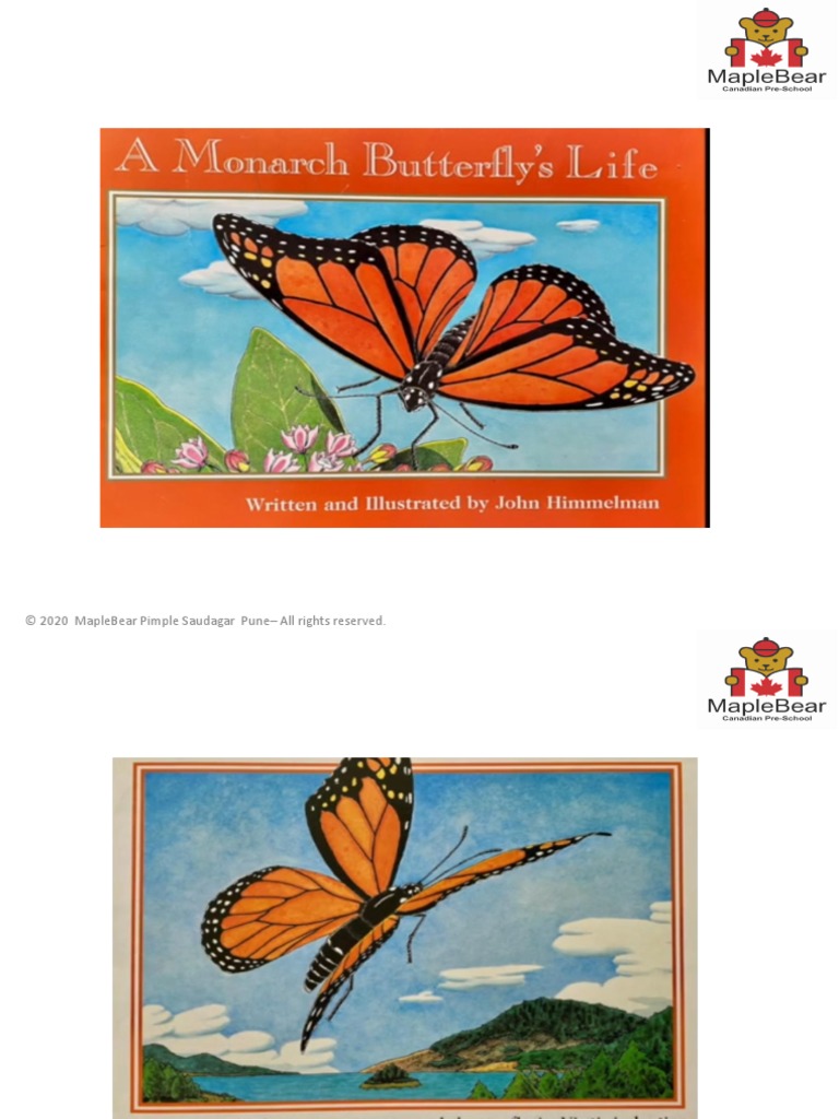 Monarch Butterfly | PDF