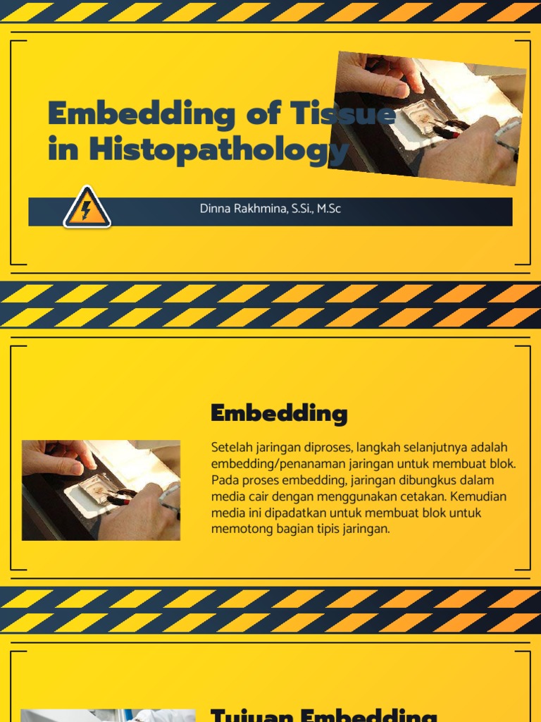 Embedding of Tissue in Histopathology | PDF Embedding of Tissue in Histopathology | PDF