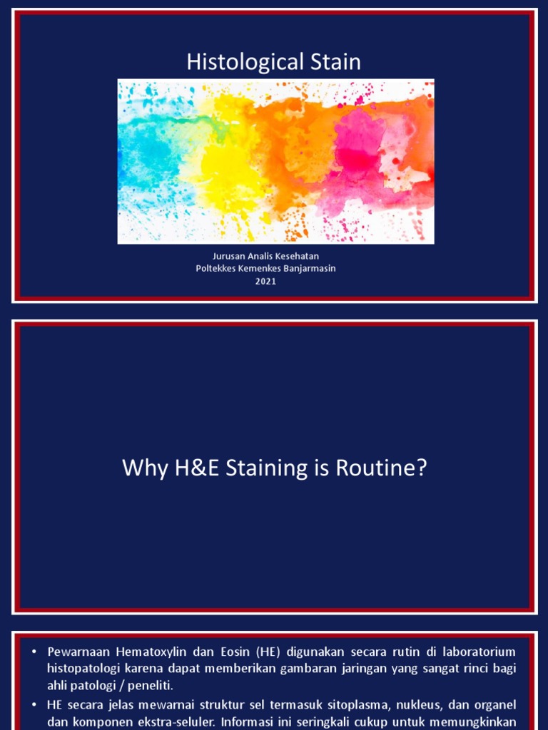 Histological Stain | PDF