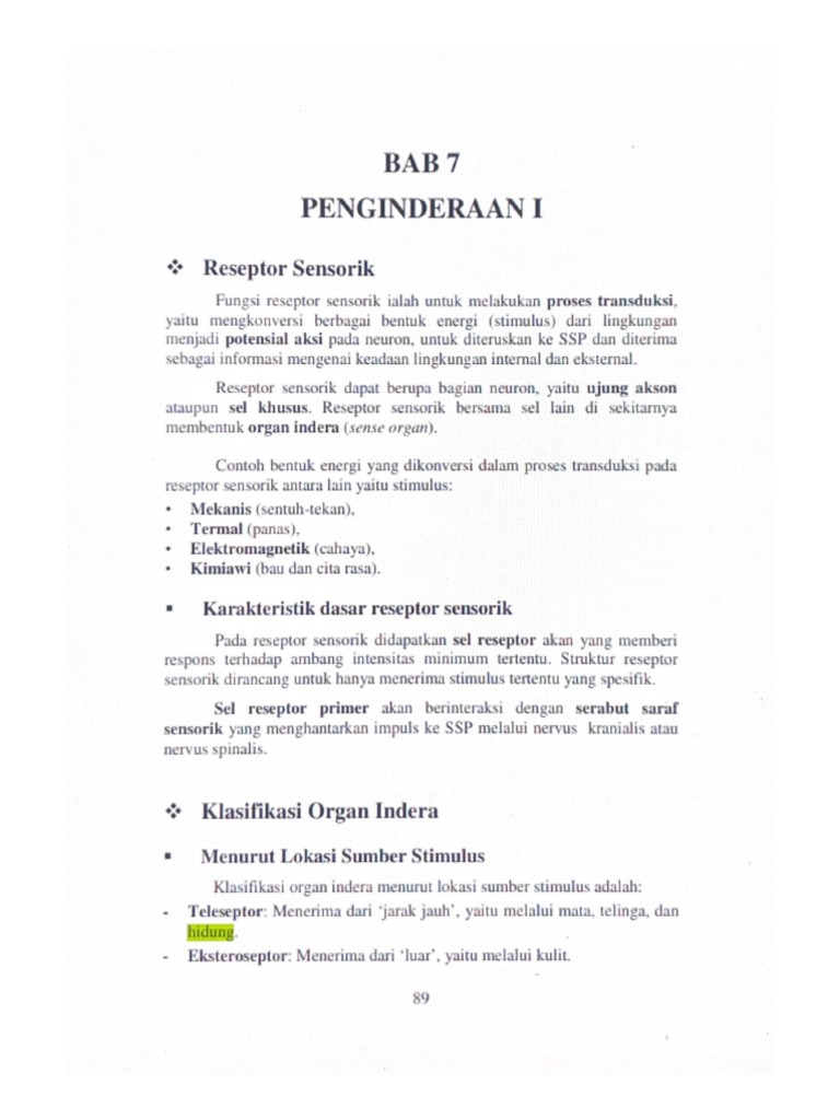Bukti Teori Indera Penciuman Dan Pengecap | PDF