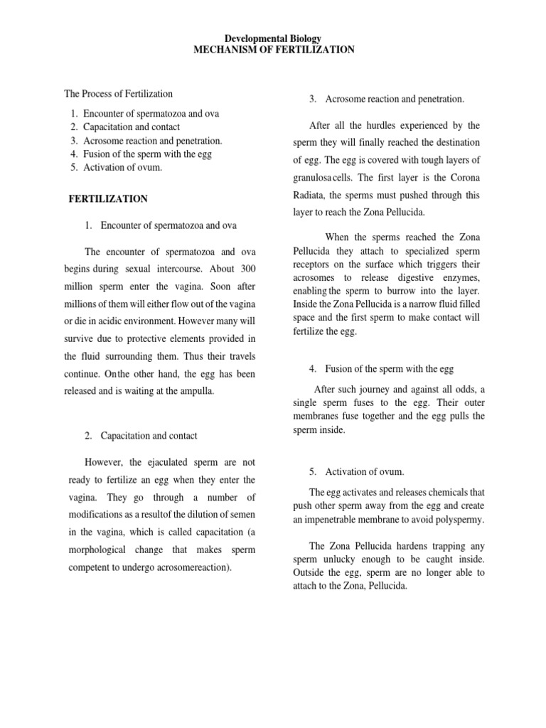 Mechanism of Human Fertilization | PDF | Fertilisation | Developmental ...