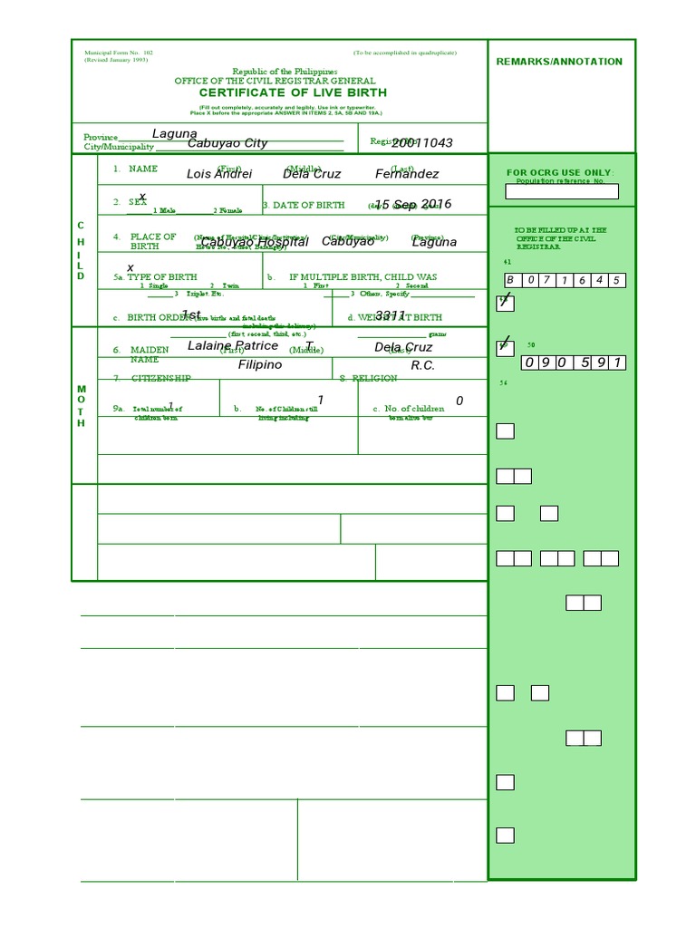 Certificate of Live Birth Form Philippines | PDF | Living Arrangements ...