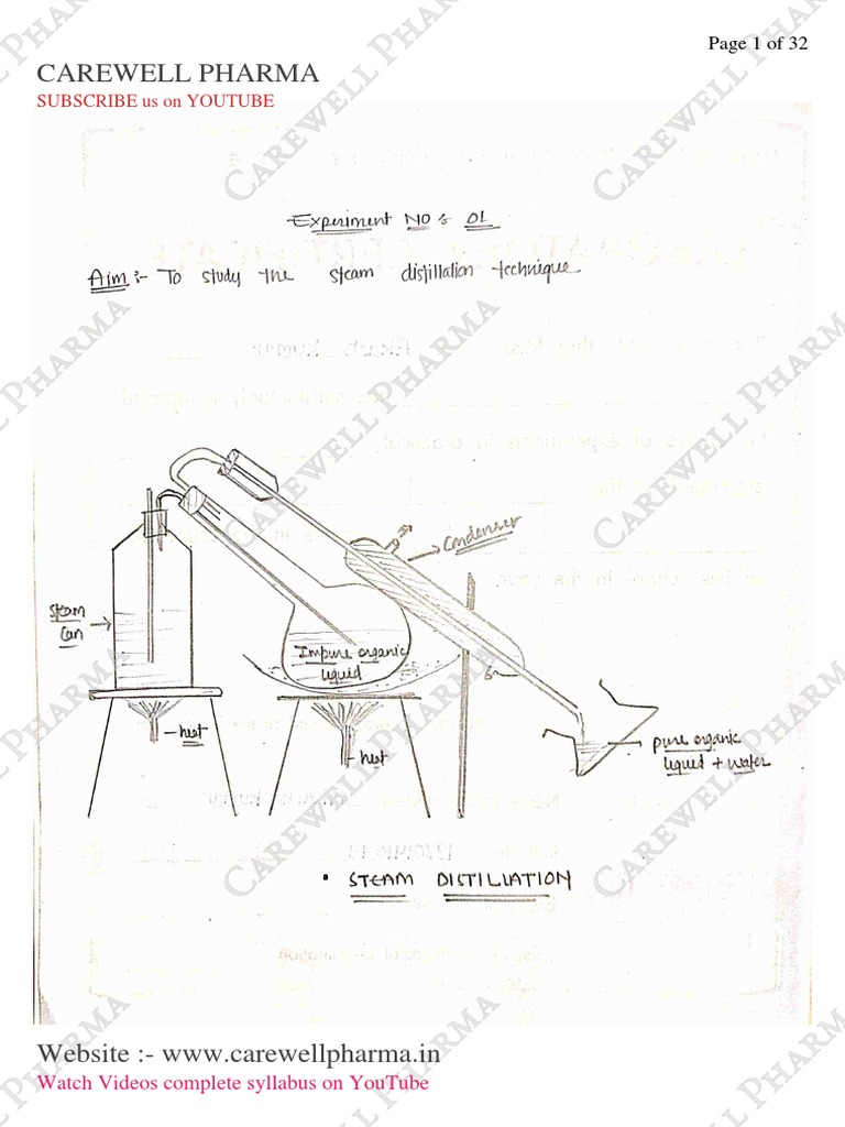 POC II Practical Carewell Pharma | PDF | You Tube